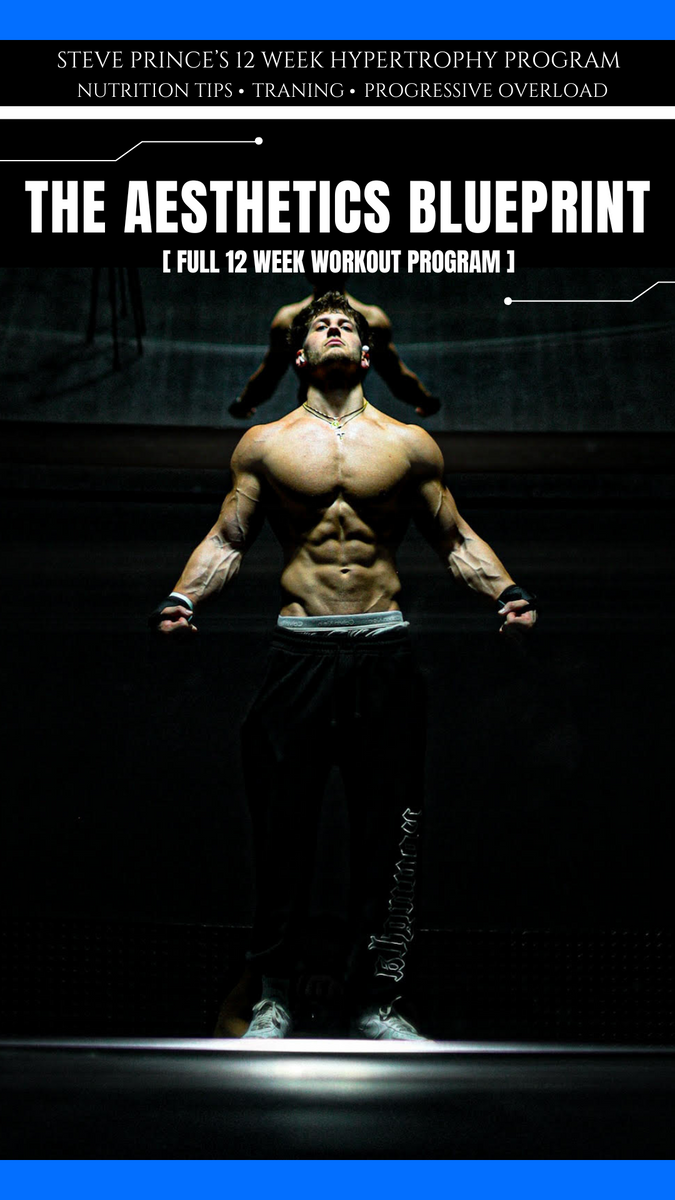 The Aesthetics Blueprint - 12 Week Hypertrophy Program – LIFTING CLUB